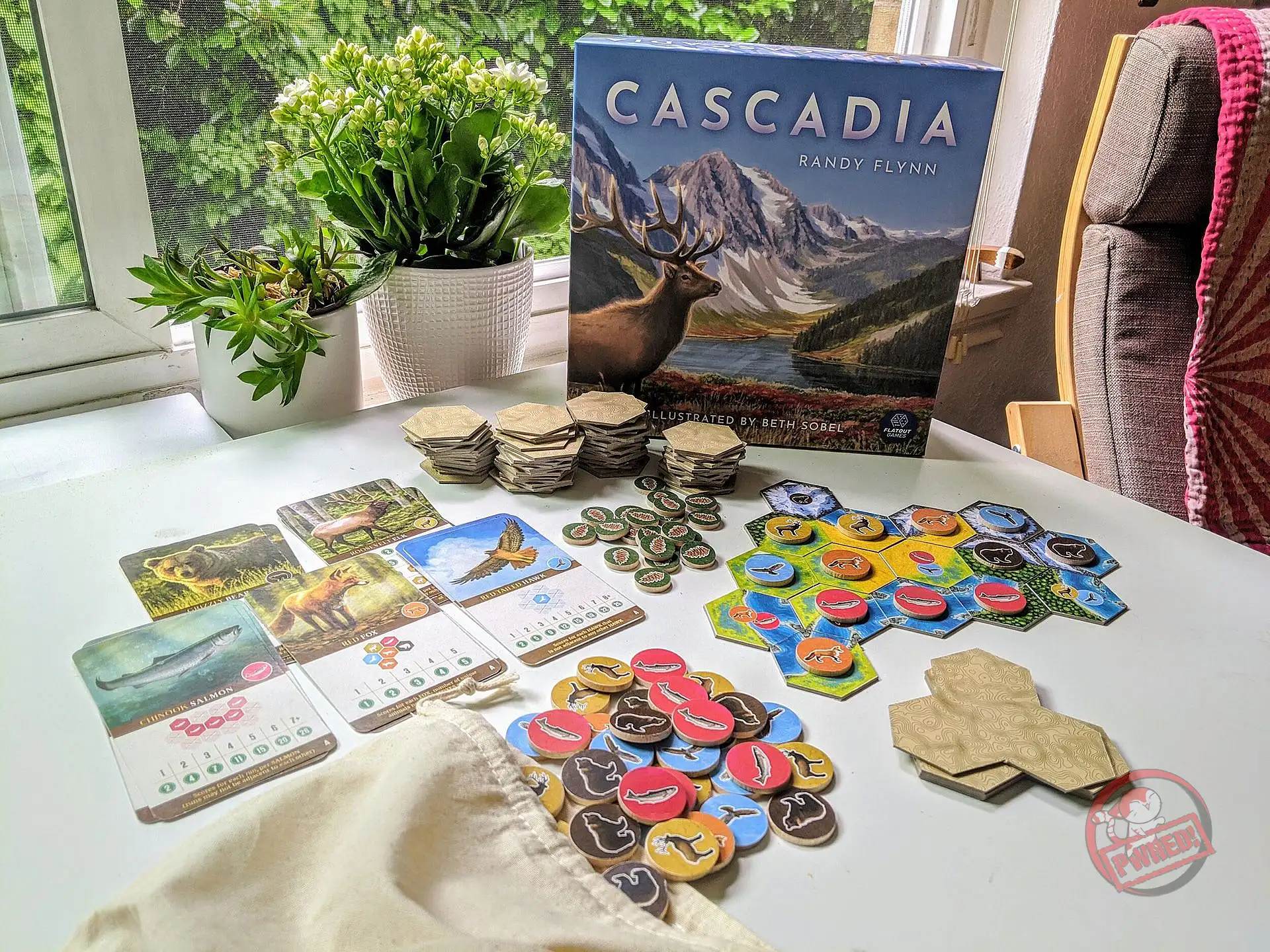 Cascadia (New) | Buy from Pwned Games with confidence. | Board & Card Games