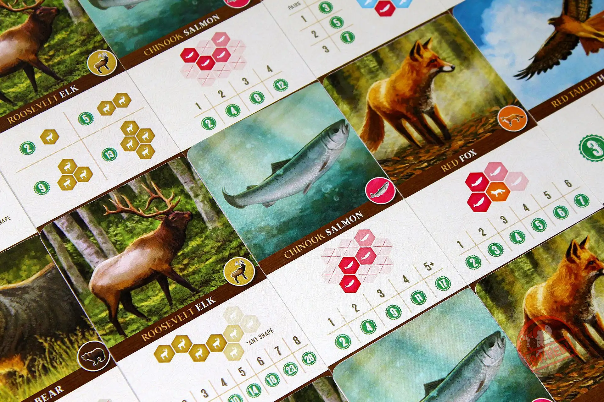 Cascadia (New) | Buy from Pwned Games with confidence. | Board & Card Games