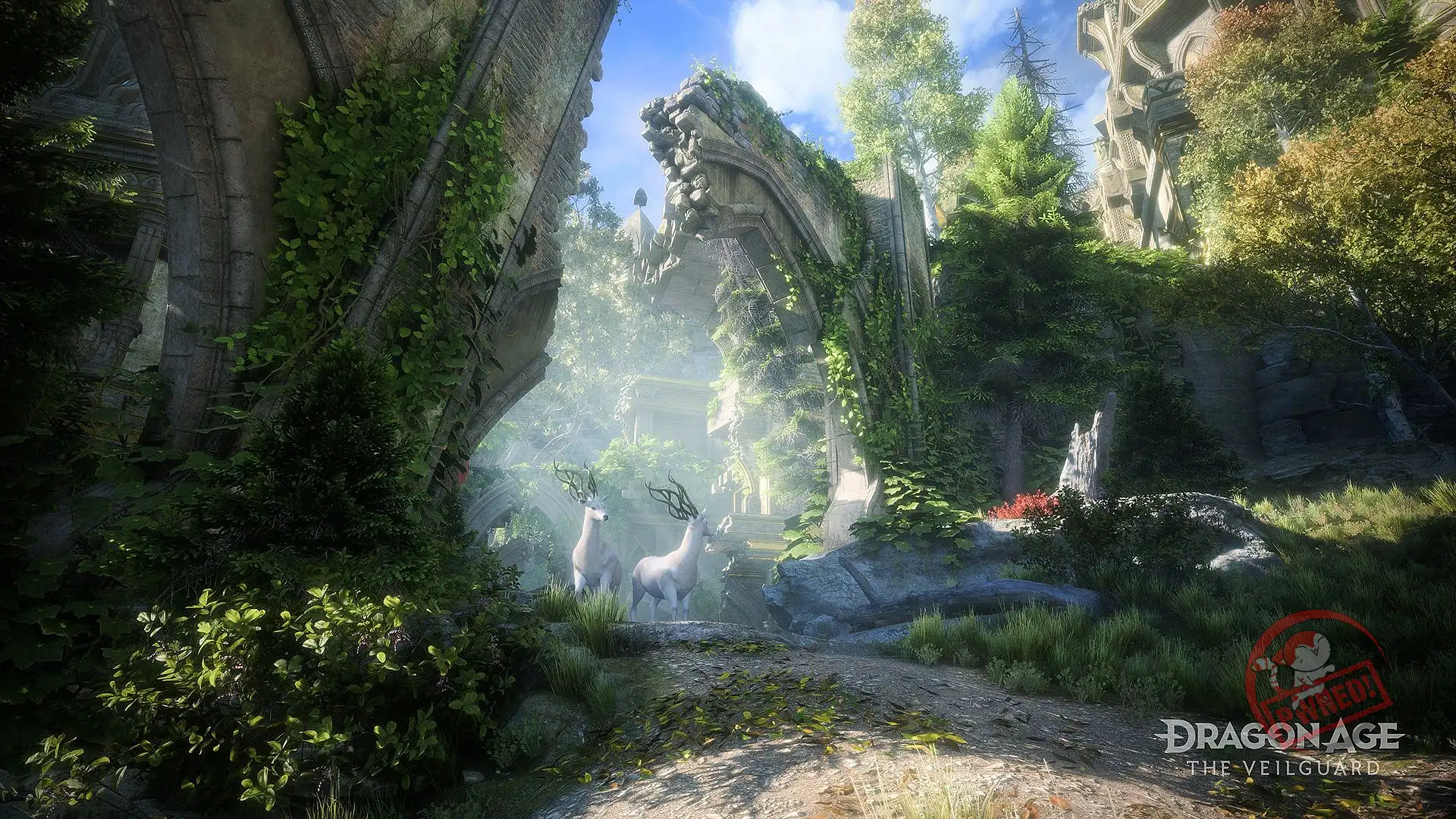 Dragon Age: The Veilguard (Xbox Series)(New) | Buy from Pwned Games ...