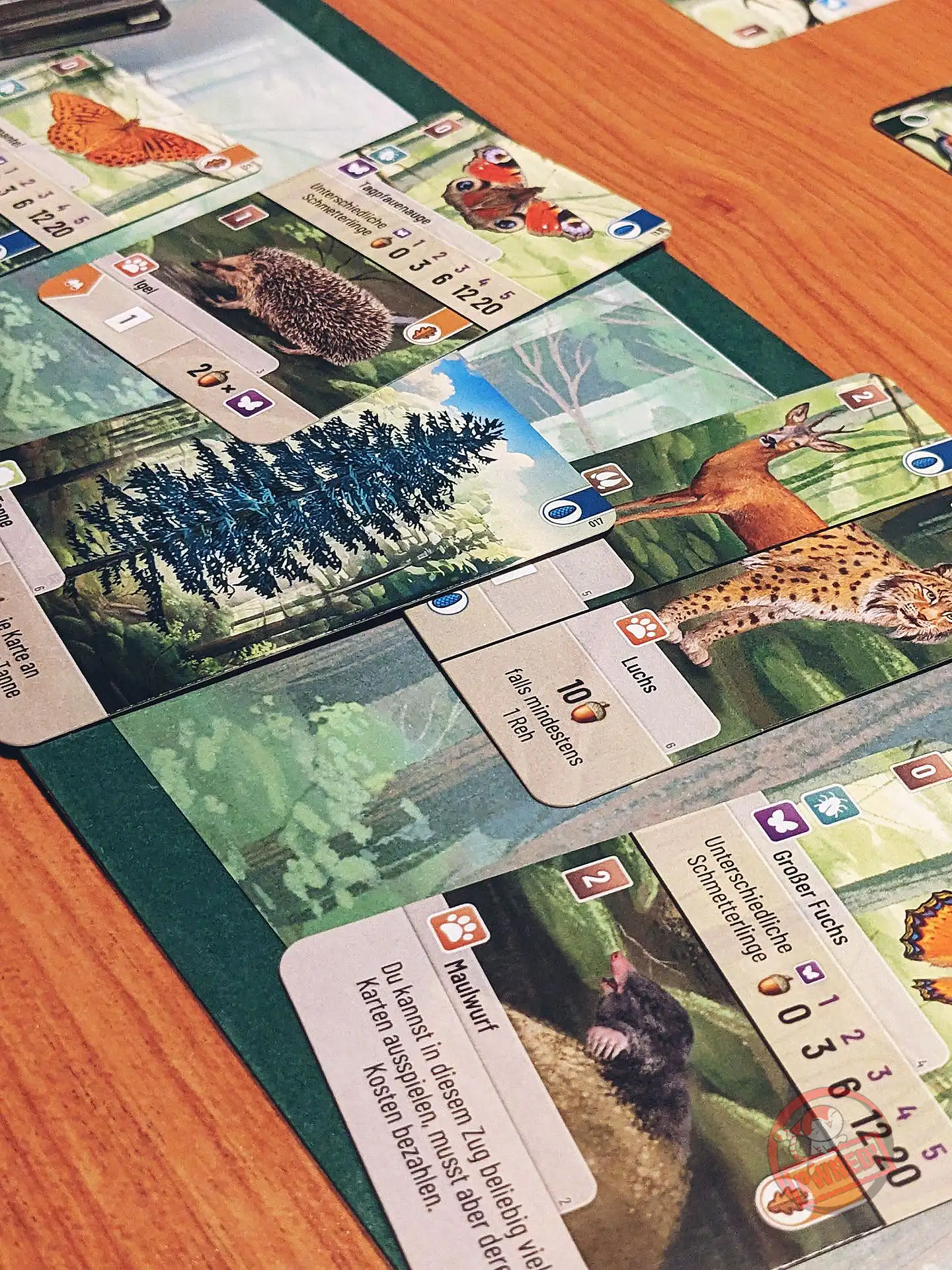 Forest Shuffle (New) | Buy from Pwned Games with confidence. | Board ...