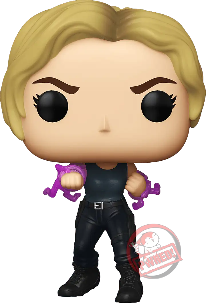 Funko Pop! Movies 1056: Mortal Kombat - Sonya Blade Vinyl Figure (New ...